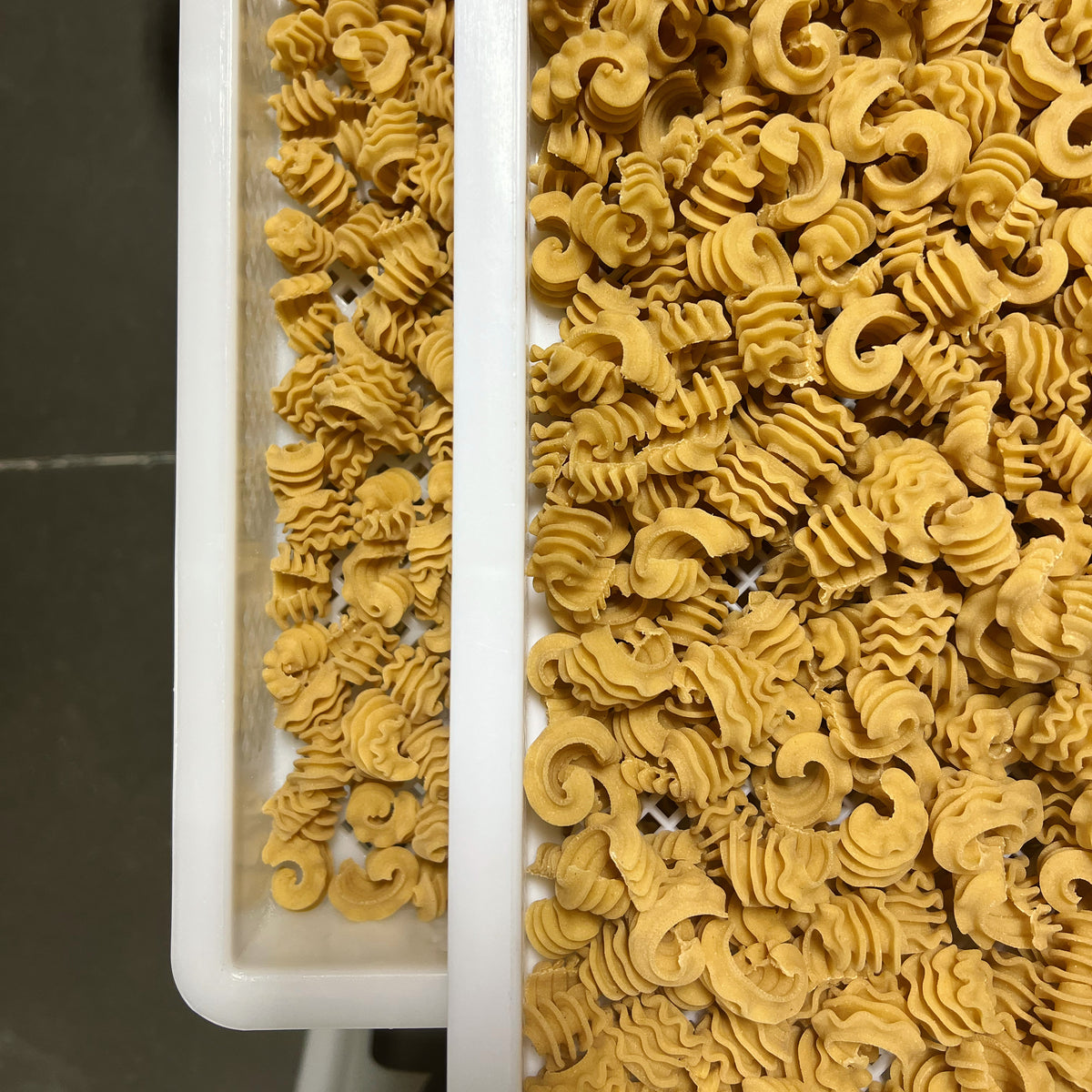 Radiatore Pasta - Bronze Die Cut – Triestina Pasta & Provisions